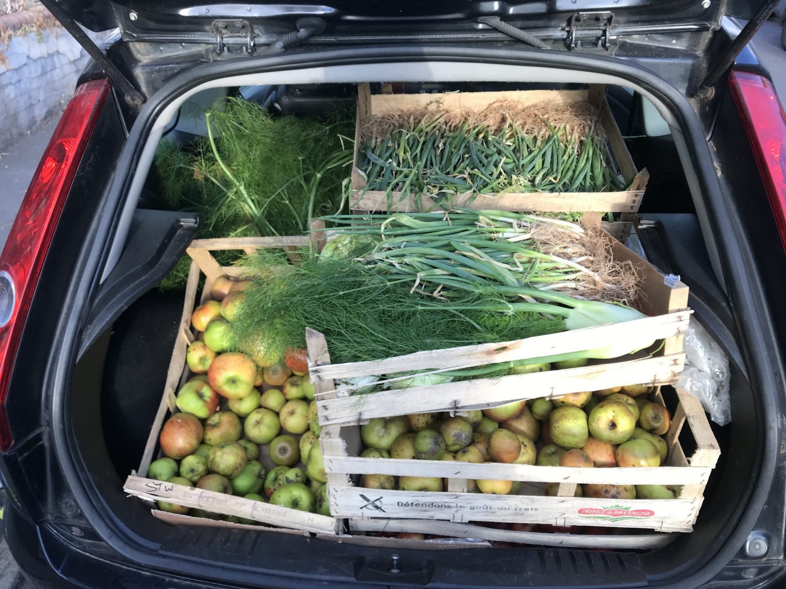 Top tips for maximising new food redistribution tool - Bristol Good ...