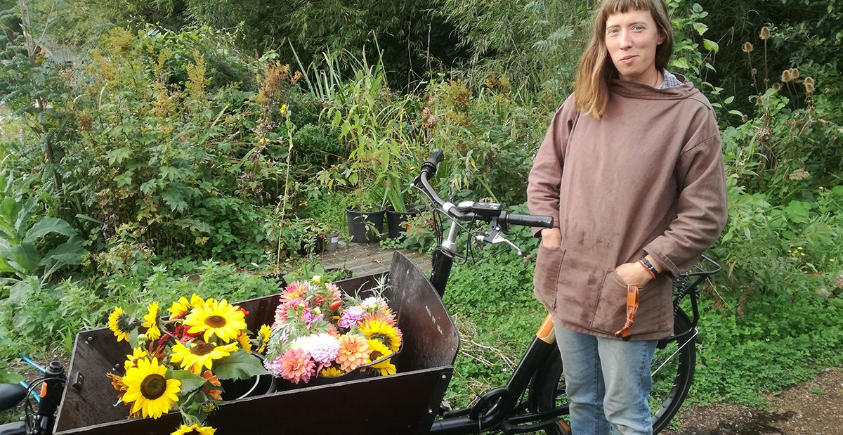 Purple Patch launch new season veg boxes! - Bristol Good Food 2030
