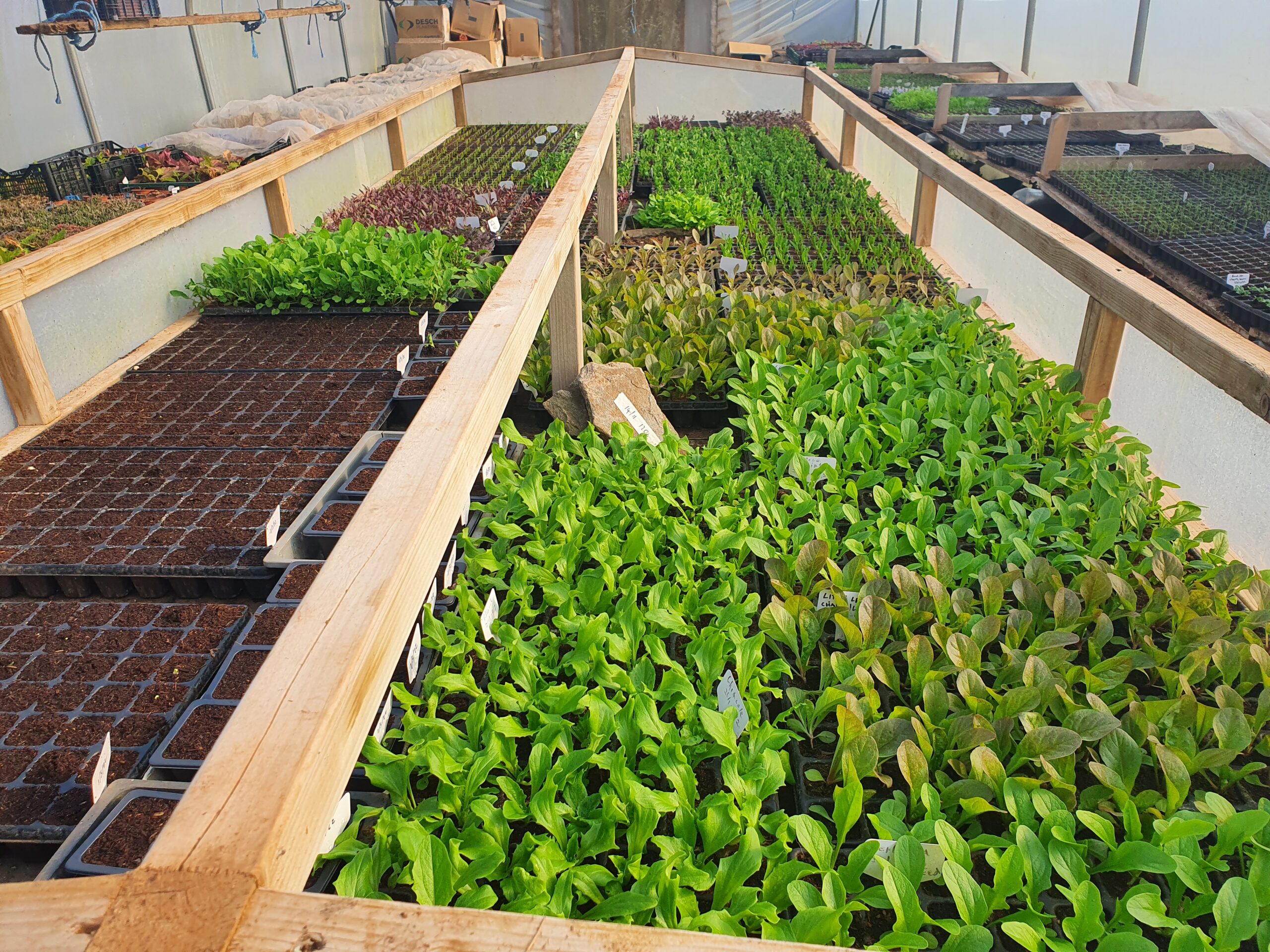 Cultivating community: Five Acre Farm - Bristol Good Food 2030