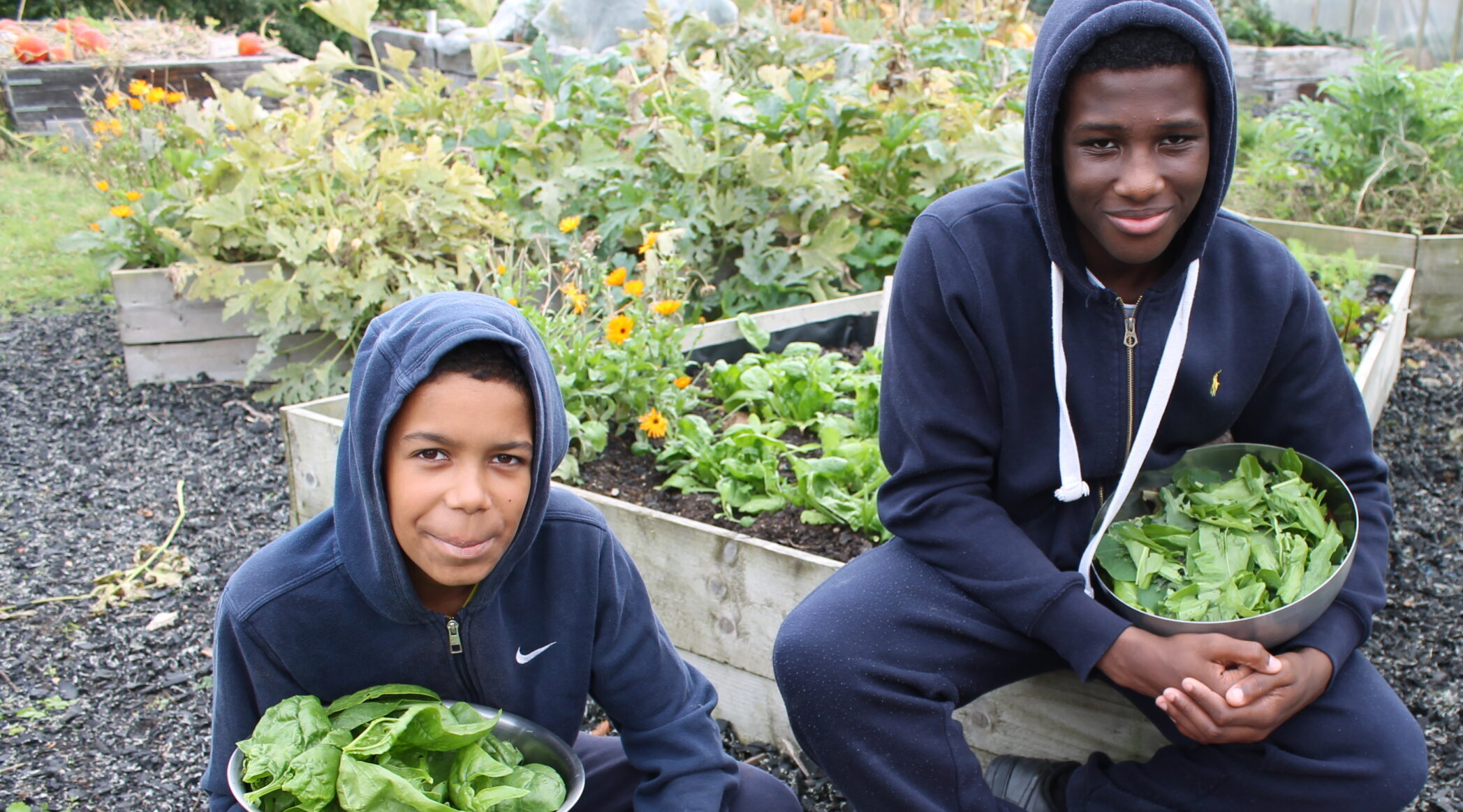 Transforming young lives through food and nature - Bristol Good Food 2030