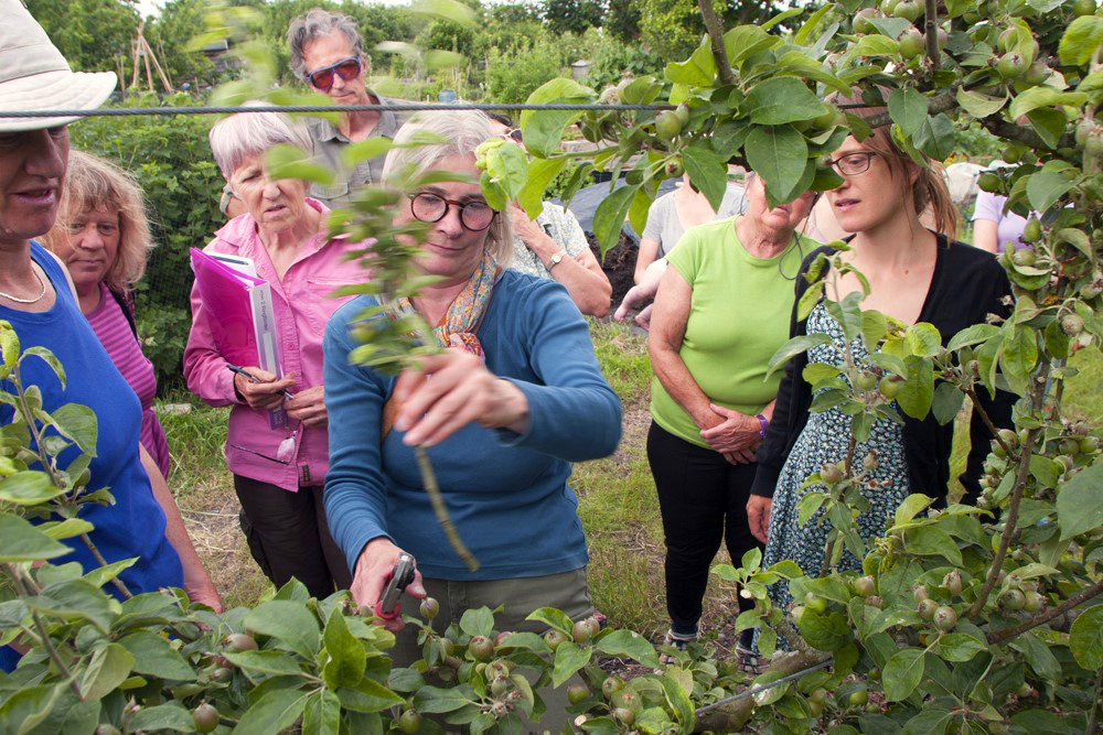 ‘A bold experiment’: Horfield Organic Community Orchard’s Fruitful ...