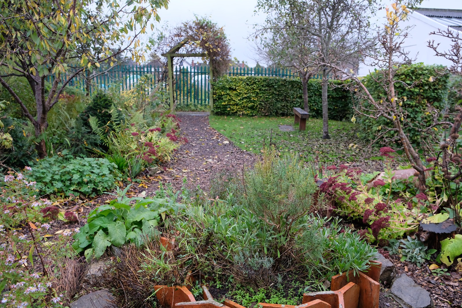Get Growing with SusWoT! Stoke Lane Community Garden - Bristol Good ...